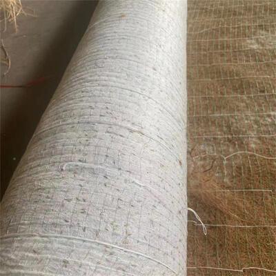 植物维纤椰丝毯厂家现货供应带籽草籽带草椰丝毯 河409道不护坡草