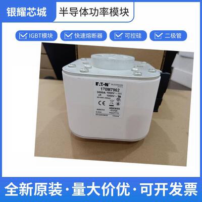 170M7962熔断器原厂出货皮损包退可开专票