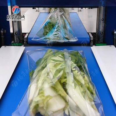 果蔬WIV自枕式包装日机功能多食品用品封切打机包全伺服包装械设