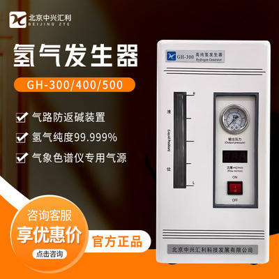 北京中兴汇利GH300~500 气象色谱仪配套99.999% 高纯度氢气发生器