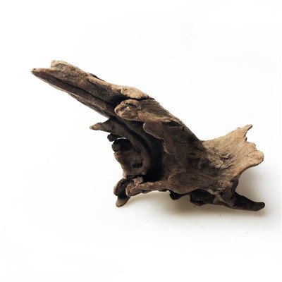 自然风化沉木枯木树根木雕杜鹃木插花微景观鱼缸造景木头摆件