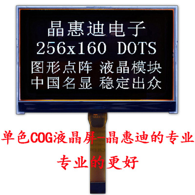 5寸液晶模块/LCM/256160/ST75256/负显/黑底白字/单色点阵COG