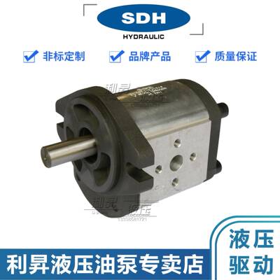 上海SD齿轮泵CBDH2-F201.3/2.70/2.FEK7/3.4/4.1/5.1/6.1/4/.9.1