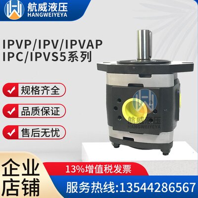 IPVP5 IPV5 IPC5 IPH5-32-40-50-64注塑机 油压 伺服油泵 福伊特