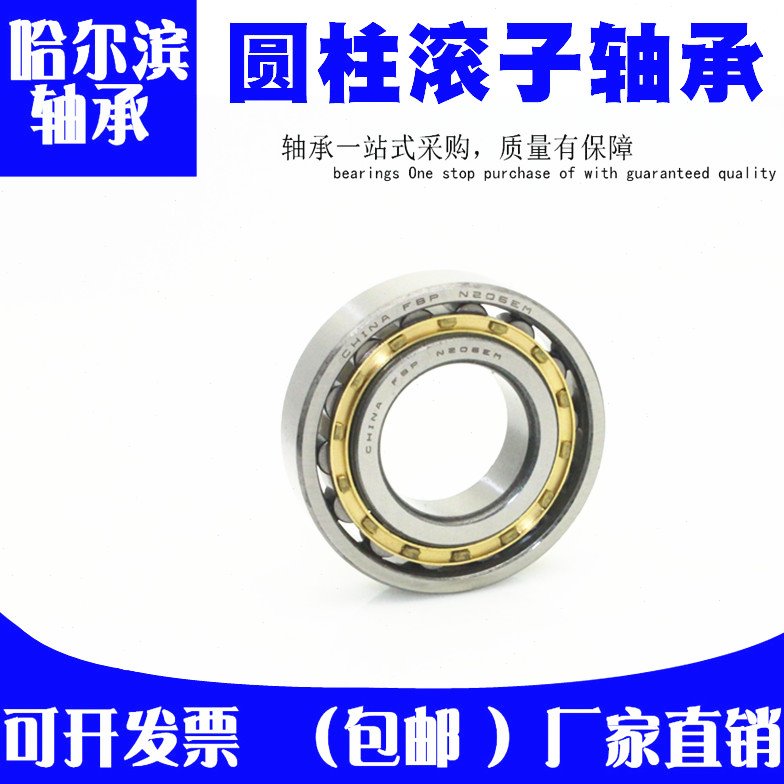 哈尔滨圆柱滚子轴承N 311 312 313 314 315 316 317 318 EM