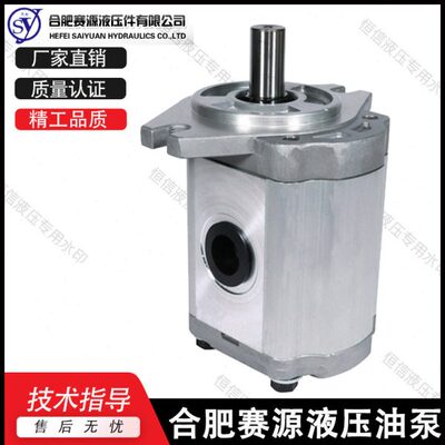 合肥赛源齿轮泵CBT-F410/412.5/414/416/418/419.2/420/423-A油泵