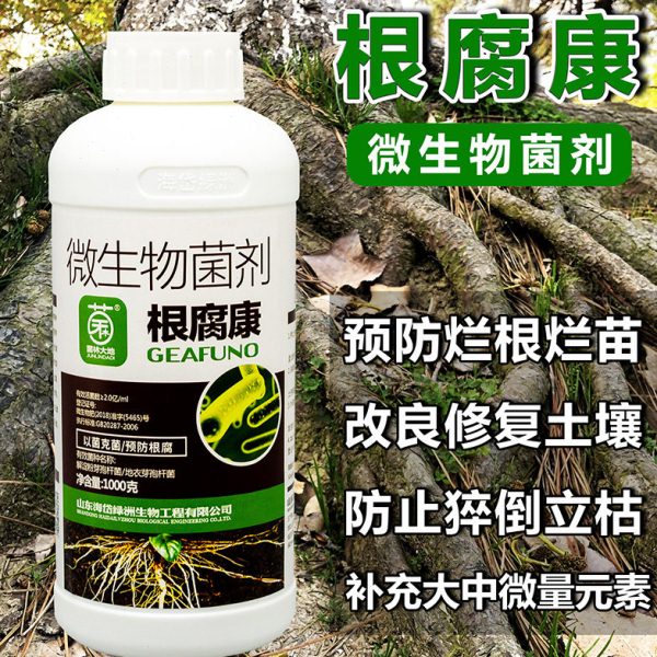 根腐康预防烂根烂苗根部病害根腐病立枯病青枯病病微生物菌剂