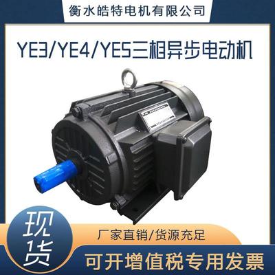 22W三相异步电动机YE3/YE4/YE5可开专票水泵风机308V电机机械