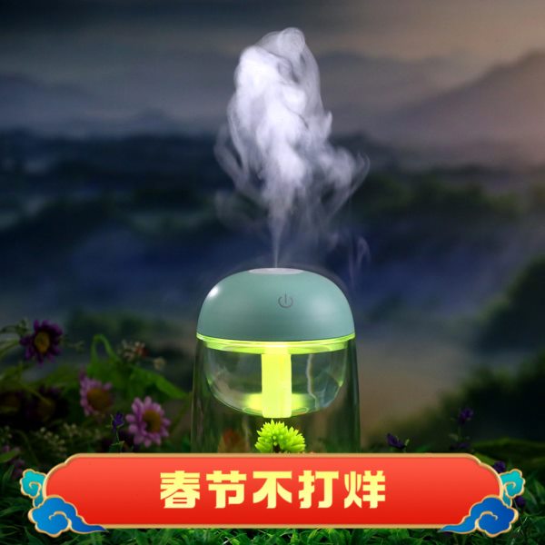 青岛创意礼品微景观加湿器七彩夜灯家用办公室空气净化小夜灯usb