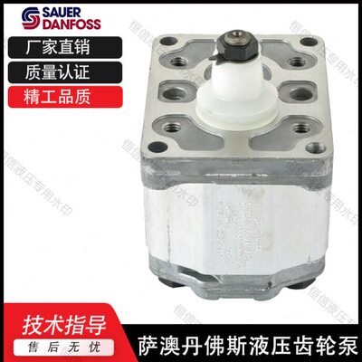 萨澳SAUER丹佛斯齿轮马达SNM2GN SNM2IL SNU2IN SNU2NC全系列马达