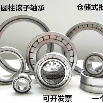 常州满装圆柱滚子轴承SL182916 NCF2916V内径80外径110厚度19进口