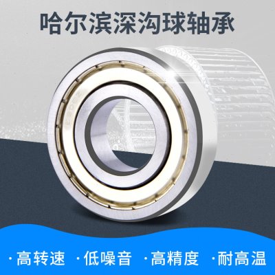 哈尔滨深沟球轴承6021 6022 6024 6026 6028 6030 6032-2RZ/ZZ