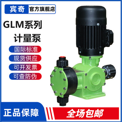 PULSAFEEDER泵帕斯菲达GLM DM2型机械隔膜计量泵 水处理泵 加厚膜