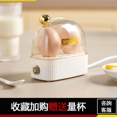 煮蛋器家用小型自动断电迷你一人2人新款宿舍蒸蛋器溏心煮蛋神器