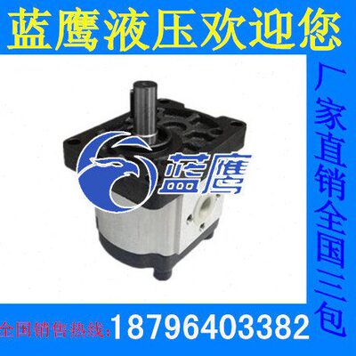 CBTt-F304/F306/F308/F310/F312/F314/F316/F320/F325F3P7齿轮泵