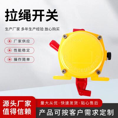 双向拉绳开关ZGLS-S手动双向拉线开输送带安全急停开关
