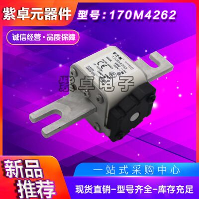 170M4262 170M4263 170M4264 170M4265巴斯曼快速熔断器 保险丝