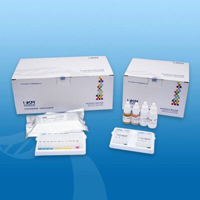 广东环凯微生物 绿脓杆菌生化鉴定盒 5种X10支 071840