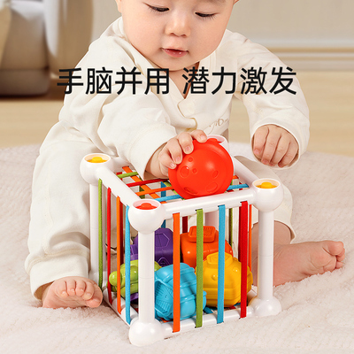 塞塞乐婴儿玩具g6个月以上12宝宝0一1岁益智六早教8儿童八月龄到