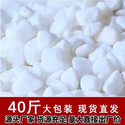 湖北白石子石头大鹅卵石庭院铺路铺地小白石头园林枯山水白石子