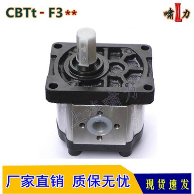 CBTt-F316F3P17 啸力液压齿轮泵安装尺寸参数可互换SDH液压泵