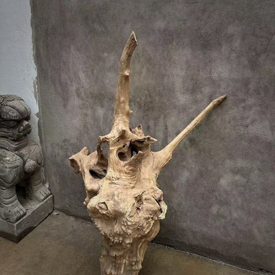 自然风化木老木头朽木s装饰摆件侘寂风朽木烂木头装饰精品纹路