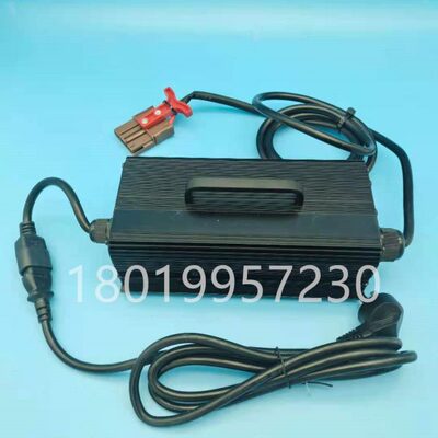 杭州杭叉电动叉车搬运车充电机充电器48V10A AIMB200-741000-A00