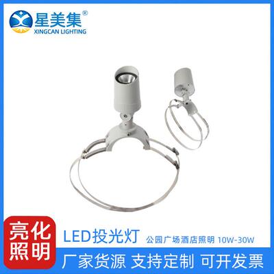 10W20W30W市政亮化工程LED户外道路抱杆园林防水投光灯