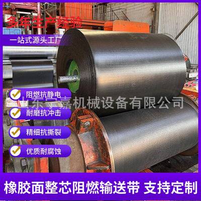 PVG800S-800mm整芯阻燃输送带阻燃抗静电PVG800S橡胶面整芯阻燃带