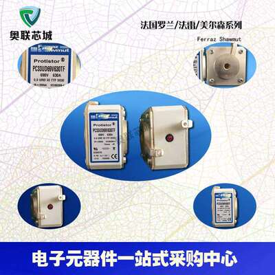 PC33UD69V900TF A300081 PC33UD69V1000TF B300082法国罗兰熔断器