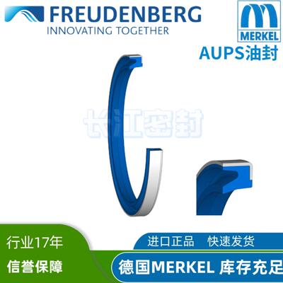 FREUDENBERGWIPSER铁壳防尘圈