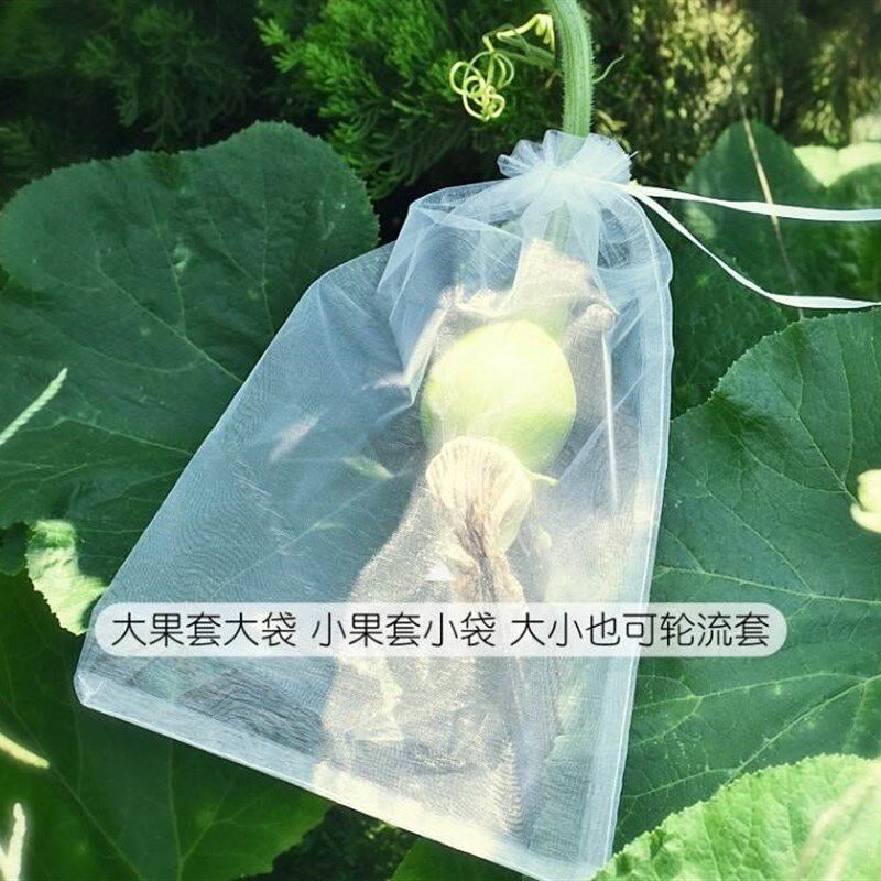 防虫保护袋水果树上包装袋果实袋套袋专用套果袋包果袋批把桃葡&a