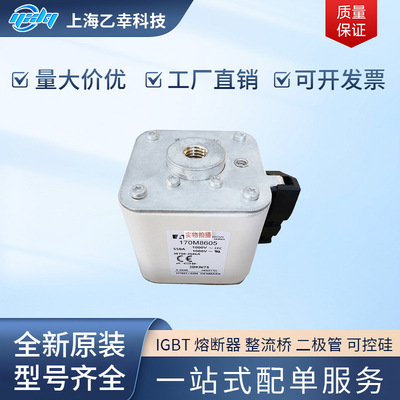 巴斯曼熔断器170M4864D-170M5808