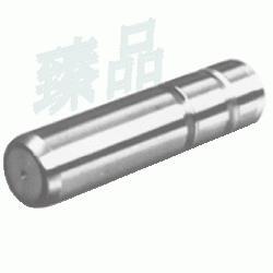 植入型導柱 SGPP