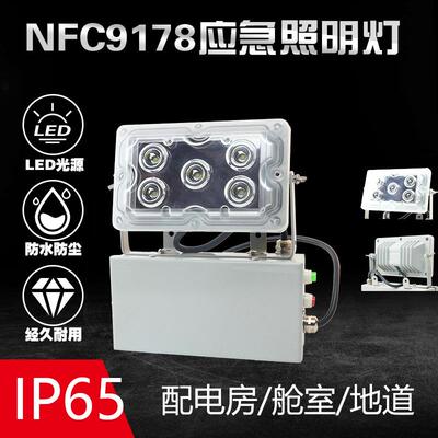 NFC9178固态应急照明灯 15W节能低顶灯 LED配电房走廊应急灯防水