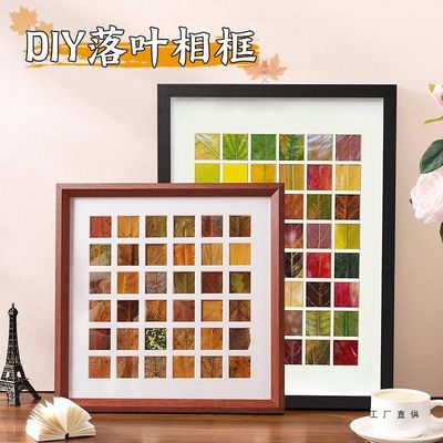 树叶植物标本画框空框创意48宫格落叶相框摆台定 制diy捡秋展示框