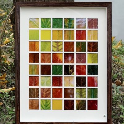 落叶相框48格树叶标本diy捡秋36宫格秋天格子叶子画框收集手工