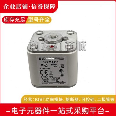 170M4764 170M4765 170M4766 170M4767 170M4768 170M4769熔断器