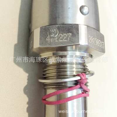 液位电极德国GESTRA水位探针NRG19-50欧宝船舶锅炉燃油燃烧器配件