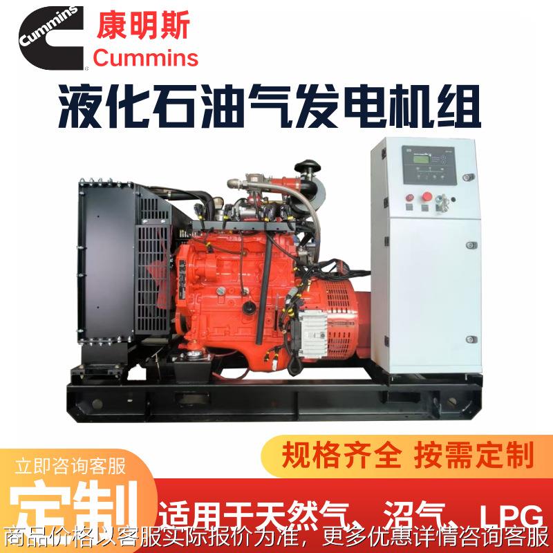 30kW小型家用康明斯LPG液化石油气发电机组天然气沼气燃气发电机