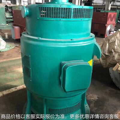 JSL12-6-215W 立式水泵用三相鼠笼式JSL系列电动机厂家直销