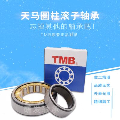 TMB天马滚柱轴承NJ304 305 306 307 308 309 310 311EM NUP RNU