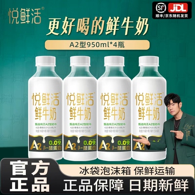 君乐宝悦鲜活A2低温奶950ml*4