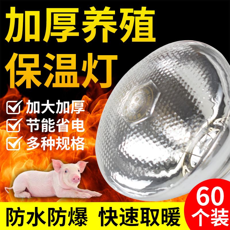 保温灯养殖取暖防爆节能猪用红外线畜牧小鸡仔猪加热烤灯保暖灯泡