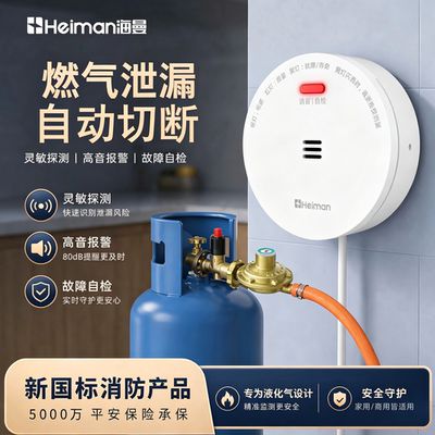 海曼家用液化气燃气泄漏报警器