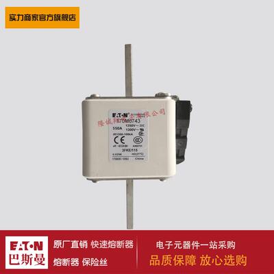熔断器170M6743 170M6744 170M6745 170M6746 170M6747 170M6748