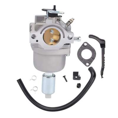 适用草坪机 799727 794572 698620 791886 495935 690194 化油器