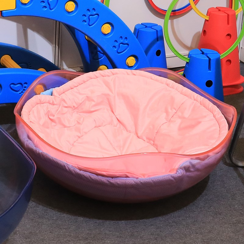 摇滚幼陀螺大儿园儿童感统训练器材体适能前板平衡庭旋转盘玩具