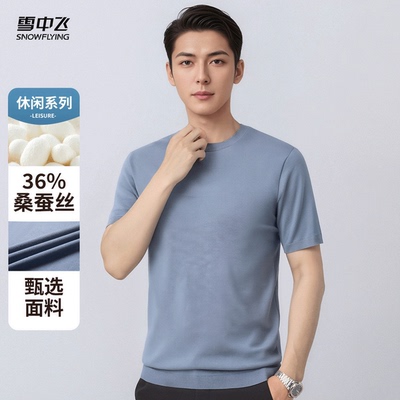 雪中飞2026新款夏季短款桑蚕丝圆领短袖T恤百搭男式针织打底上衣