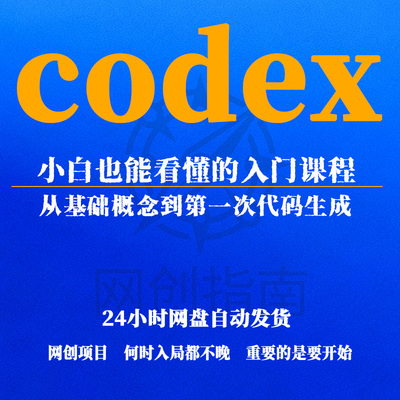 小白也能看懂的codex入门课程，从基础概念到第一次代码生成